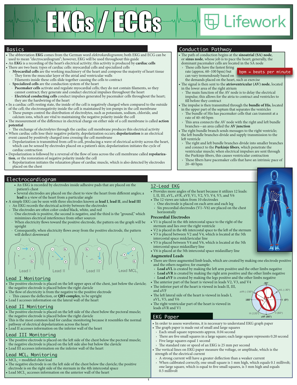 Lifework Education - Lifework Marketplace